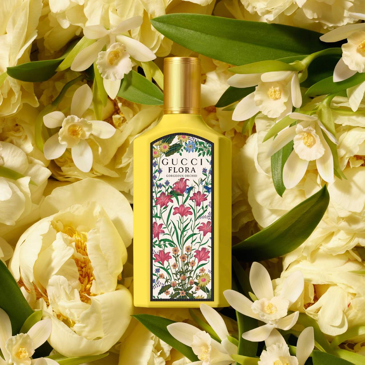 عطر فلورا جورجيوس أوركيد من قوتشي - واحة عطر